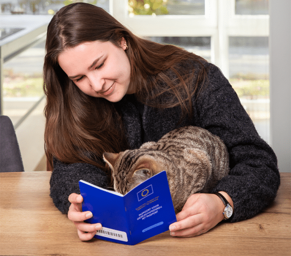 Wat kost een kat? Alle kosten op een rij - PetBase
